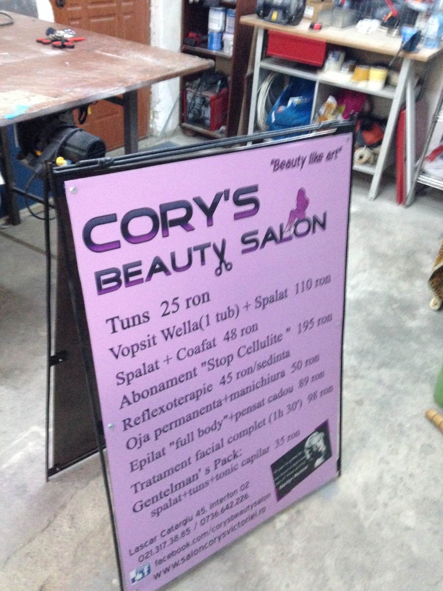 Panouri si reclame luminoase pentru coafor | LogoSigns - Casete ...